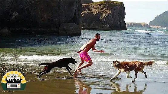 Modern-Day Noah's Ark Comes to Life in The All-New Series "My Pack Life ...